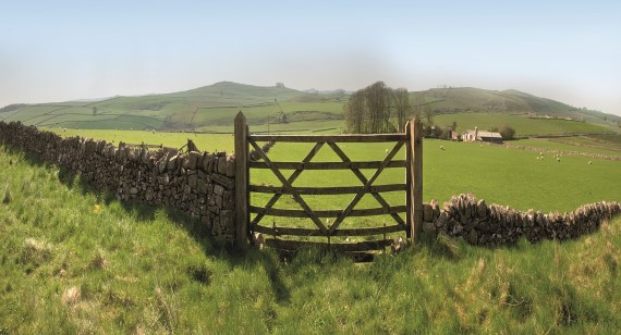 Farming Insurance, Pensions & Investments | NFU Mutual