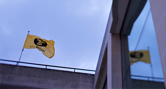 Read our Company Information here | NFU Mutual